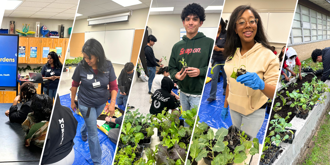 Carver HS Students Continue Their Urban Farming, Nutrition Journey ...
